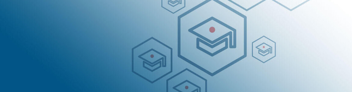 PRODINGER Verpackung: Gemeinsam zum richtigen Gesamtpaket