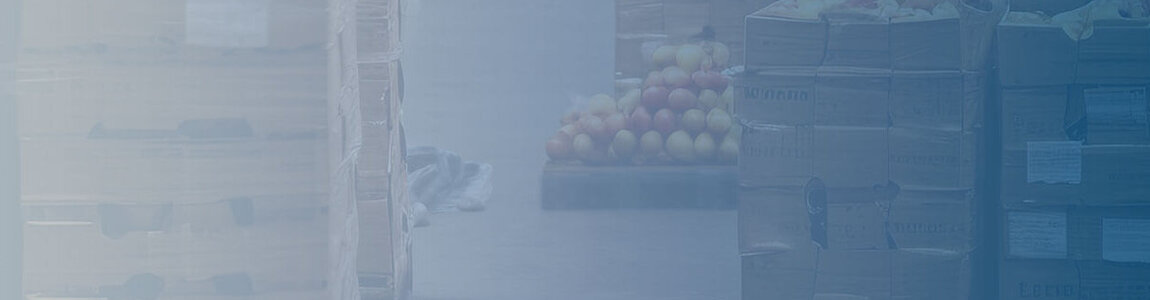 PRODINGER Verpackung: Gemeinsam zum richtigen Gesamtpaket